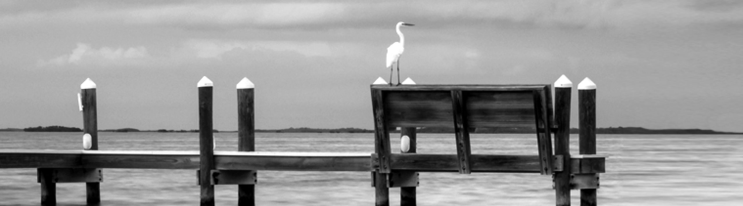 None of Us is as Smart as All of Us - LBMX